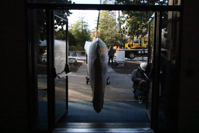 Getting the AC72 inside the Museum building - The Mariners' Museum and Park