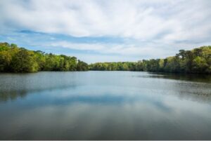 Mariners' Lake - The Mariners' Museum and Park