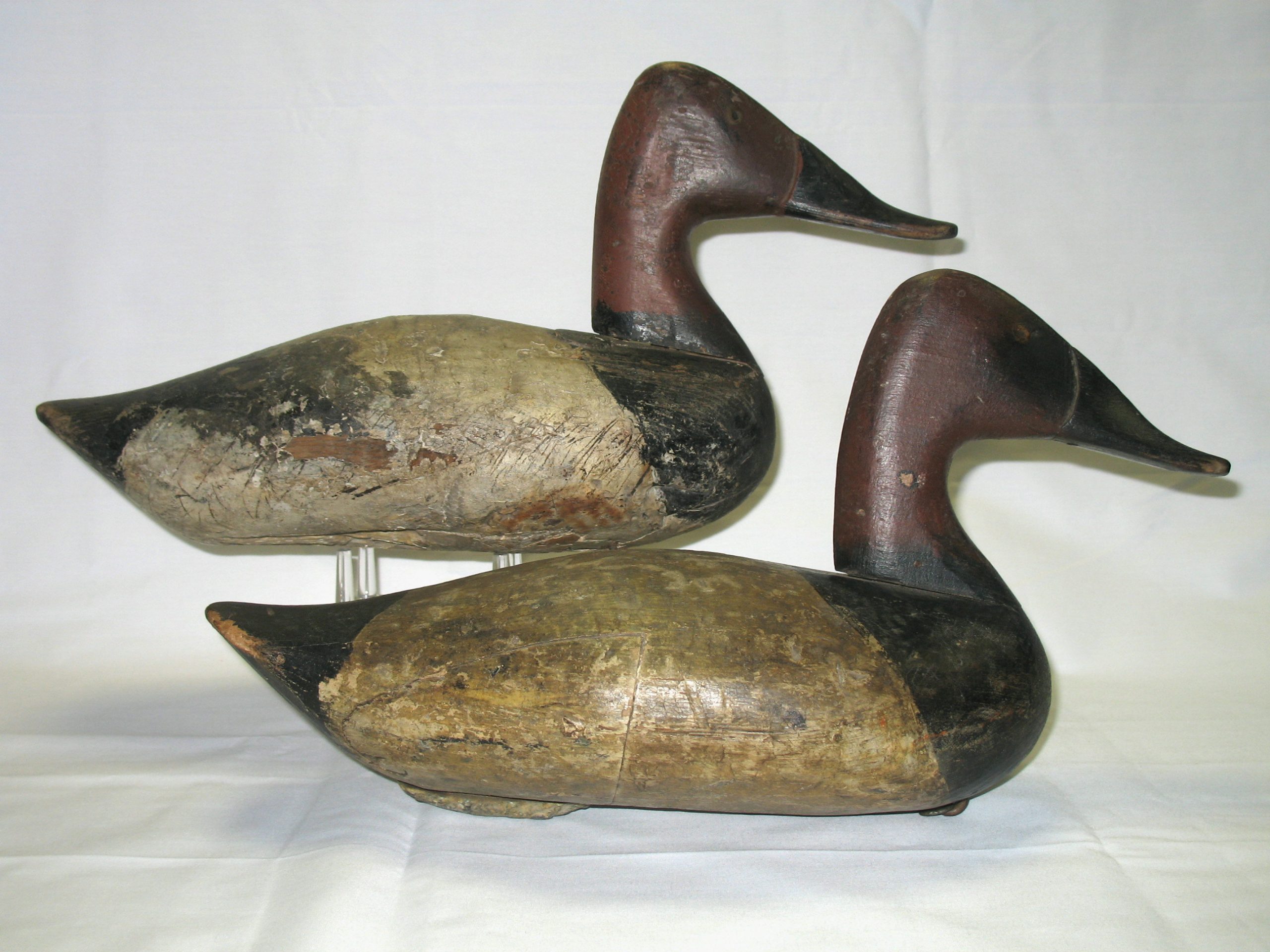 Form Follows Function: Art of the Decoy - The Mariners' Museum and Park