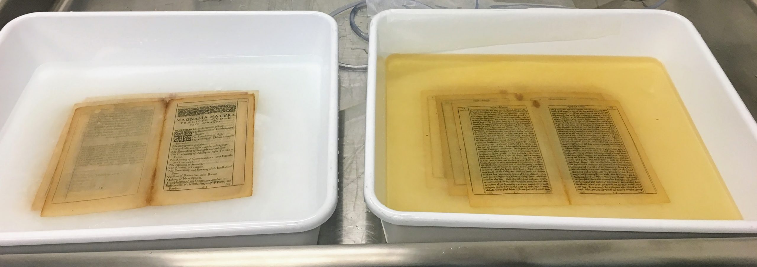 Paper and Water - Friends or Foes? - The Mariners' Museum and Park