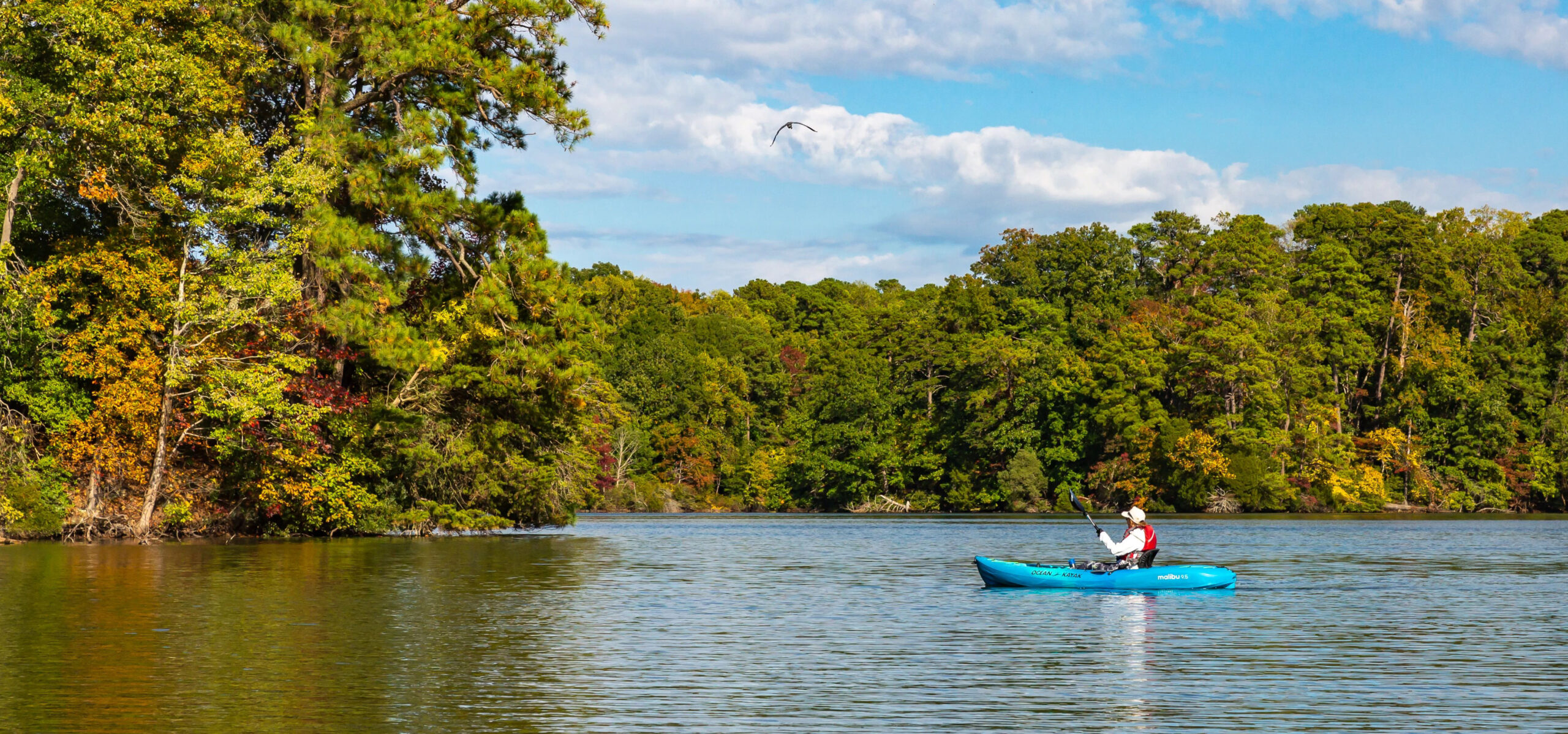 Mariners' Lake - The Mariners' Museum and Park