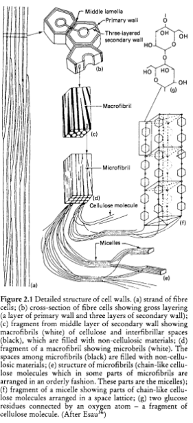 Water in things, things in water: How to deal with waterlogged wood ...
